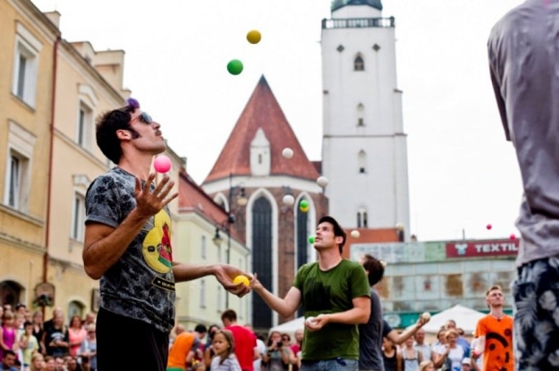 OFCA bez zwierząt. Cyrkowcy opanowali Oleśnicę - Radio Wrocław